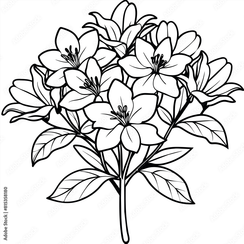 Azalea flower outline illustration coloring book page design, Azalea ...