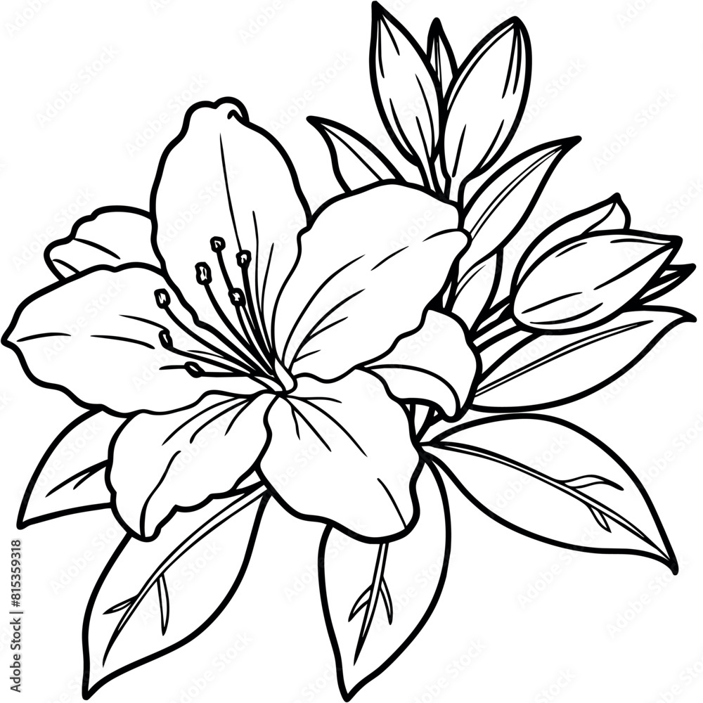 Azalea flower outline illustration coloring book page design, Azalea ...