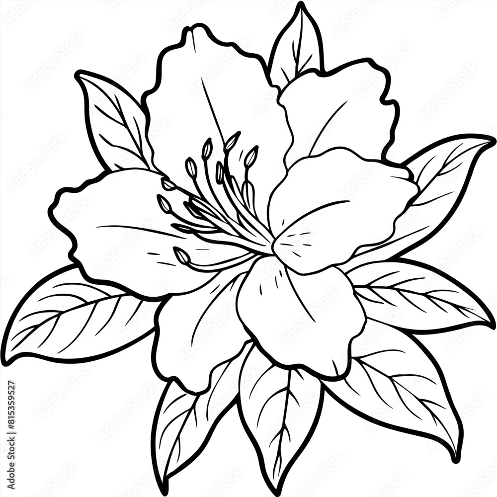 Azalea flower outline illustration coloring book page design, Azalea ...