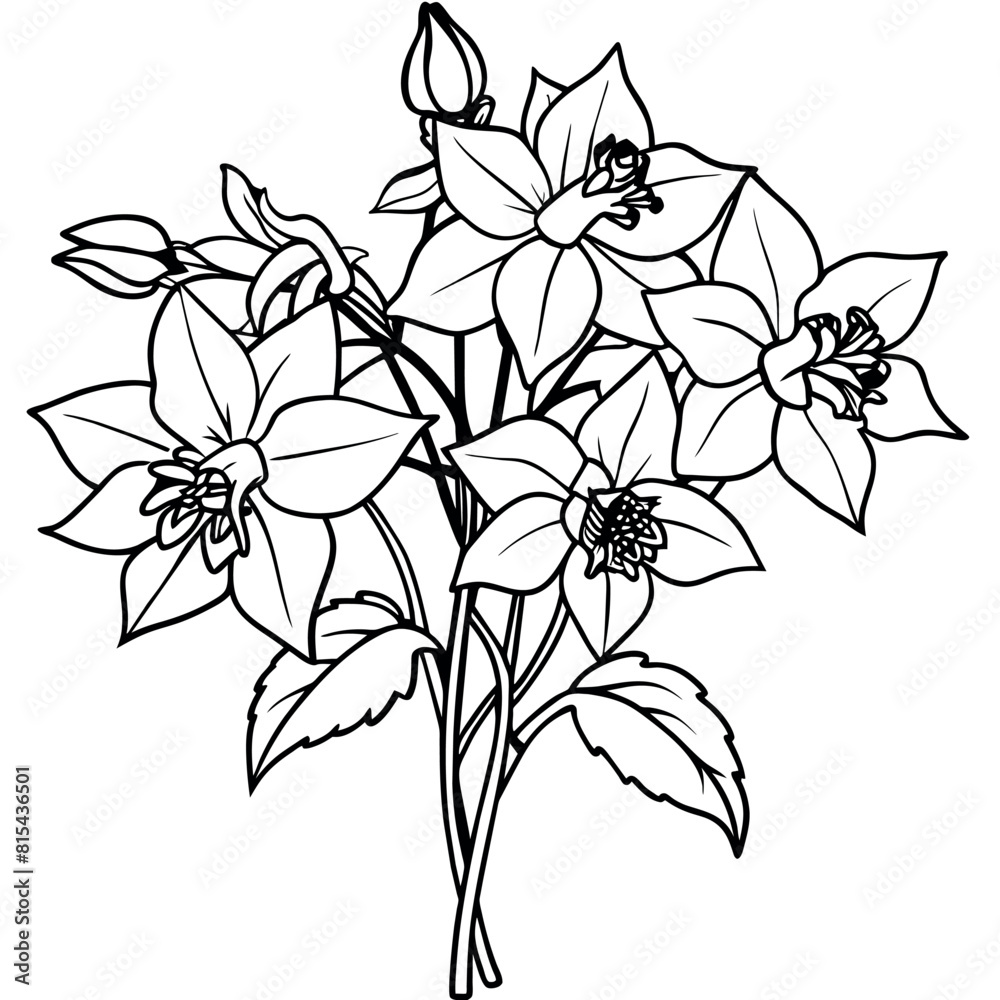 Columbine flower outline illustration coloring book page design ...