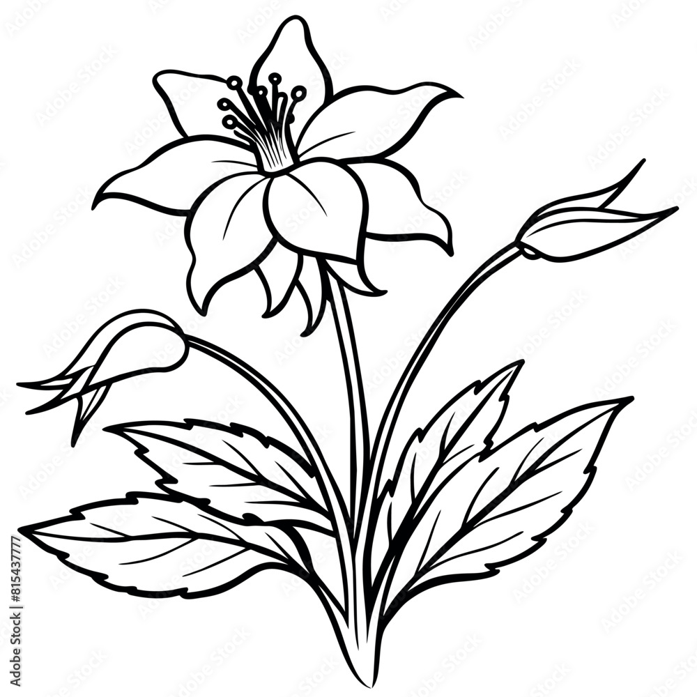 Columbine flower outline illustration coloring book page design ...