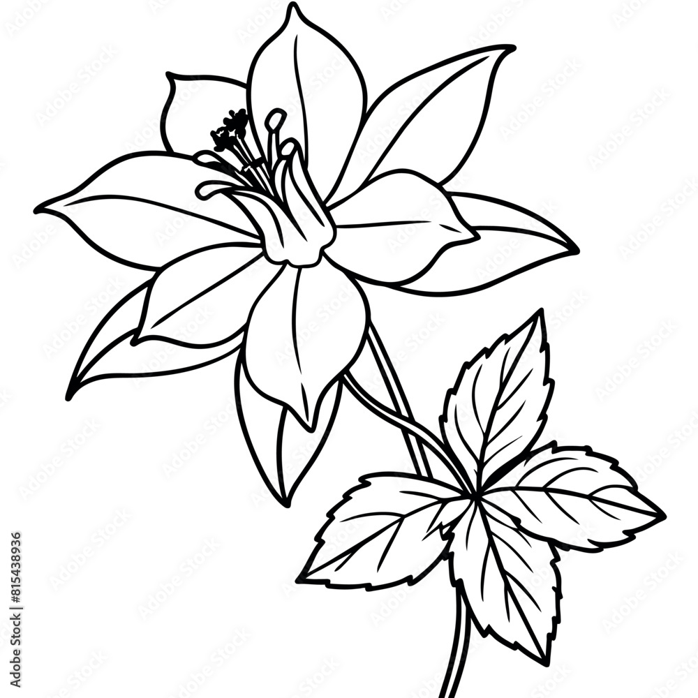 Columbine flower outline illustration coloring book page design ...