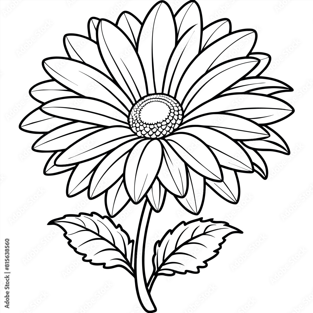 Gerbera Daisy flower outline illustration coloring book page design ...