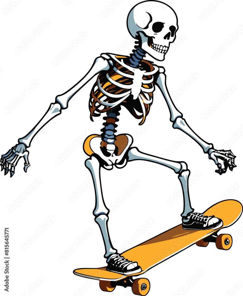 Vector of a cartoon illustration of a skeleton riding a skateboard on a ...