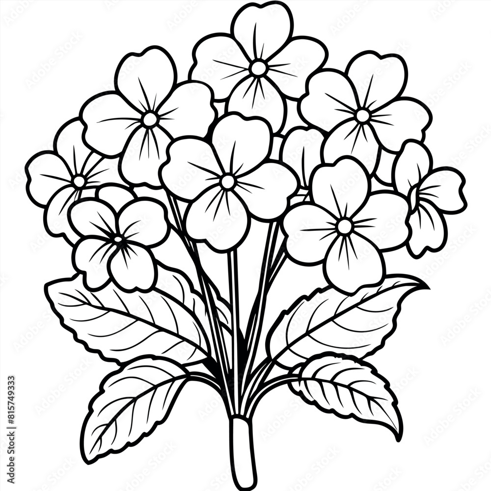 Primrose flower outline illustration coloring book page design ...