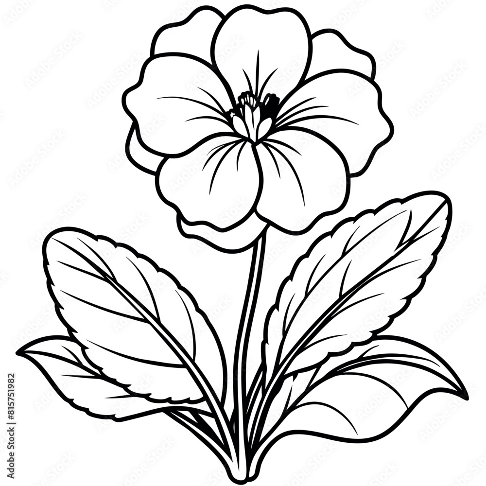 Vector de Stock Primrose flower outline illustration coloring book page ...