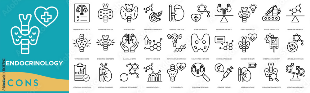 Endocrinology icon set. Hormone Regulation, Endocrine System, Thyroid ...