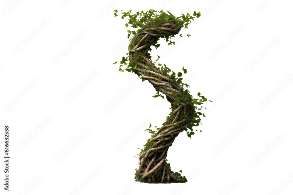 The Symbiotic Symmetry of Vines Spellbindingly Shape the Letter S on ...