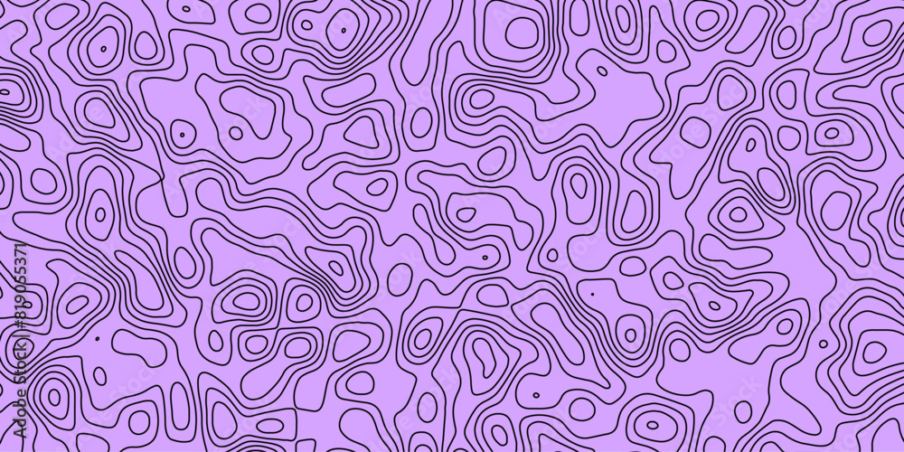 Elegant Vector Artwork Depicting a Topographic Map with Rich ...