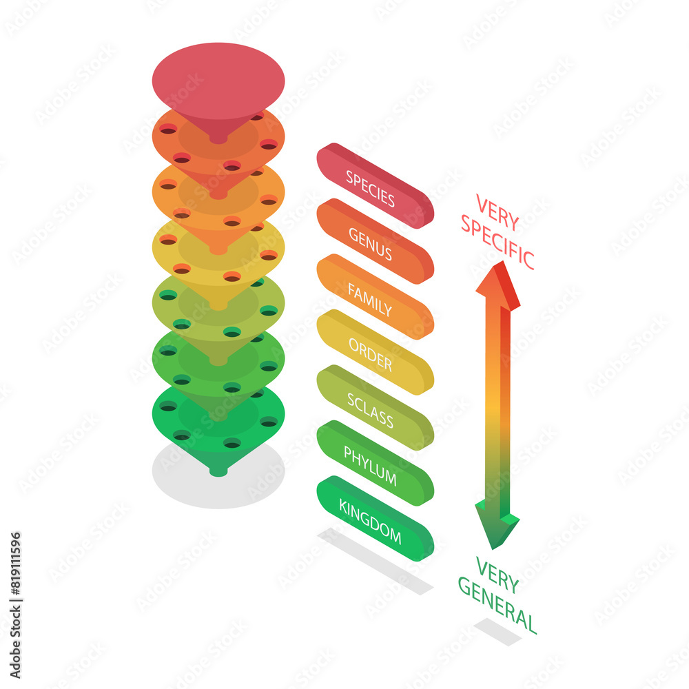 3D Isometric Flat Illustration of Classification System, Major ...