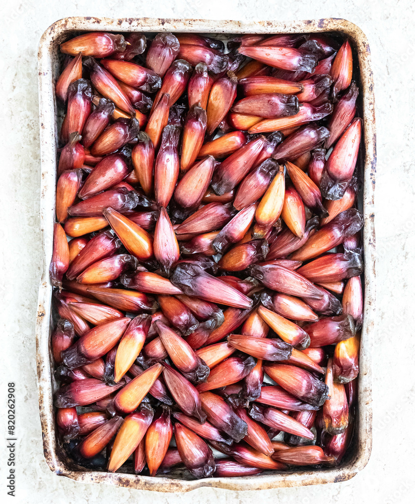 Pinhão fruit from Araucária angustifolia, pine from Paraná ( pinherio ...