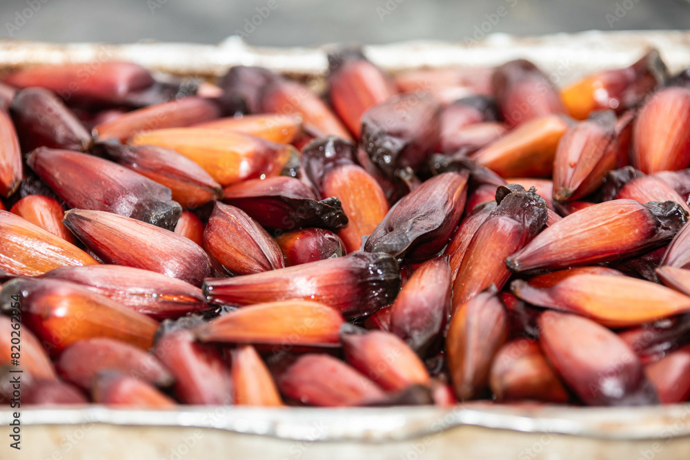 Pinhão fruit from Araucária angustifolia, pine from Paraná ( pinherio ...