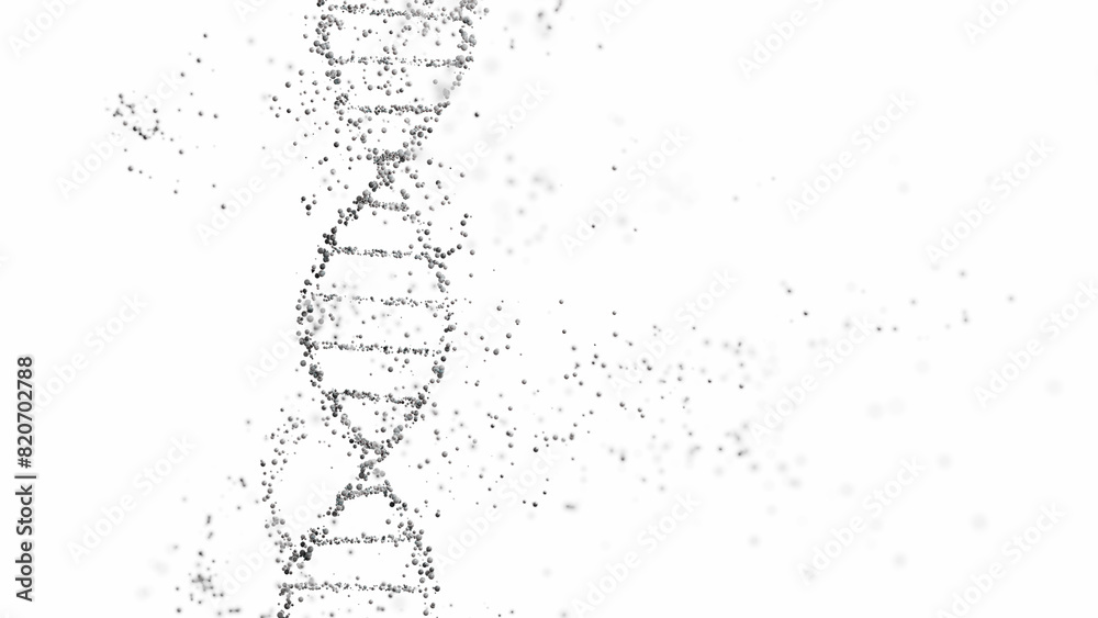 3D rendering of a DNA double helix structure with spheres on a white ...