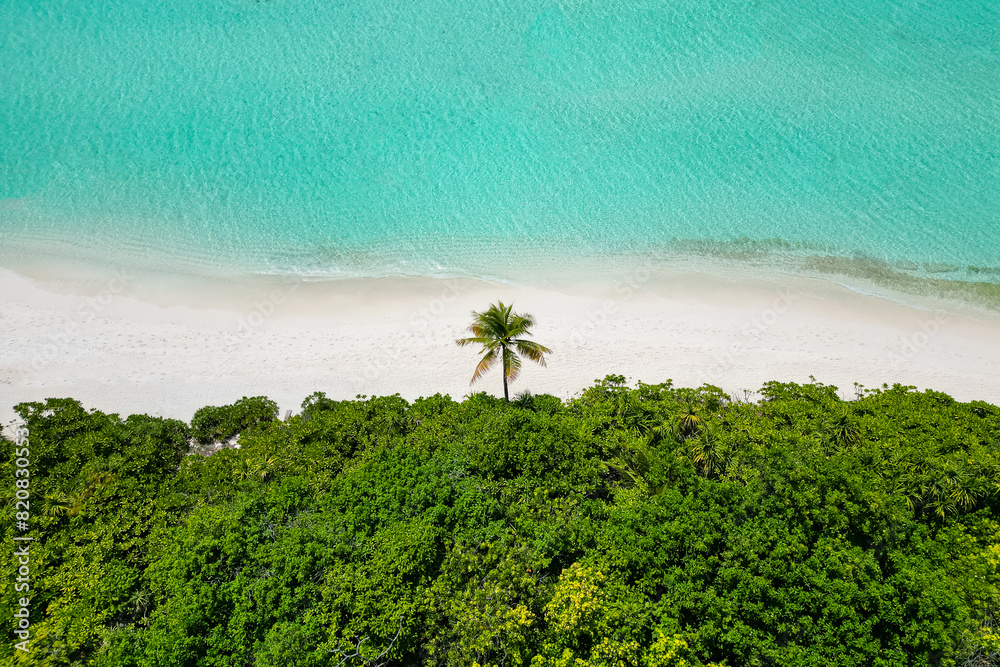 stunning blue ocean and sandy white island maldives top drone aeral ...