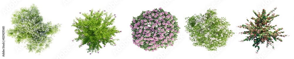 Different types of flowering garden bushes isolated on transparent ...