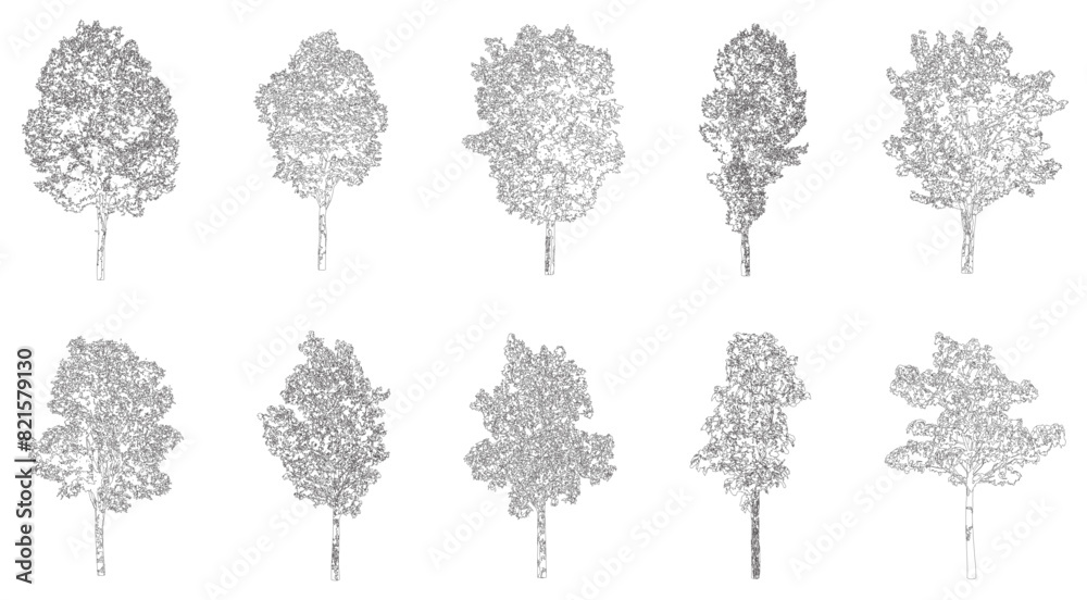 Minimal style cad tree line drawing, Side view, set of graphics trees elements outline symbol ...