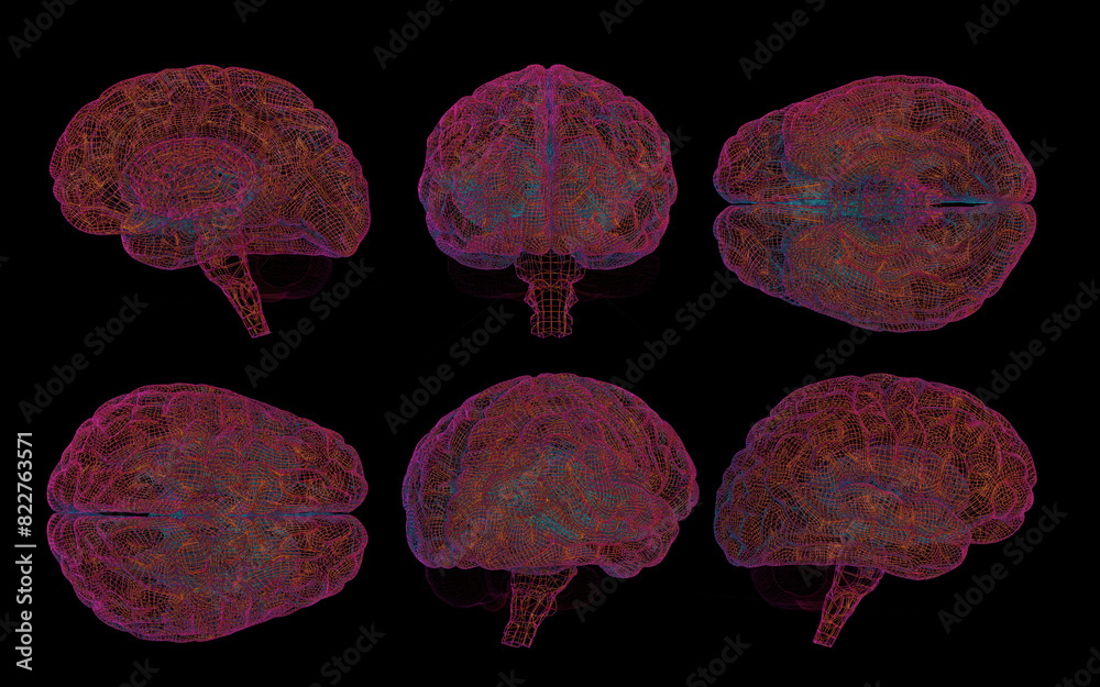 Neural Network Wireframe Brain on black Clipping Mask PNG Background (6 ...