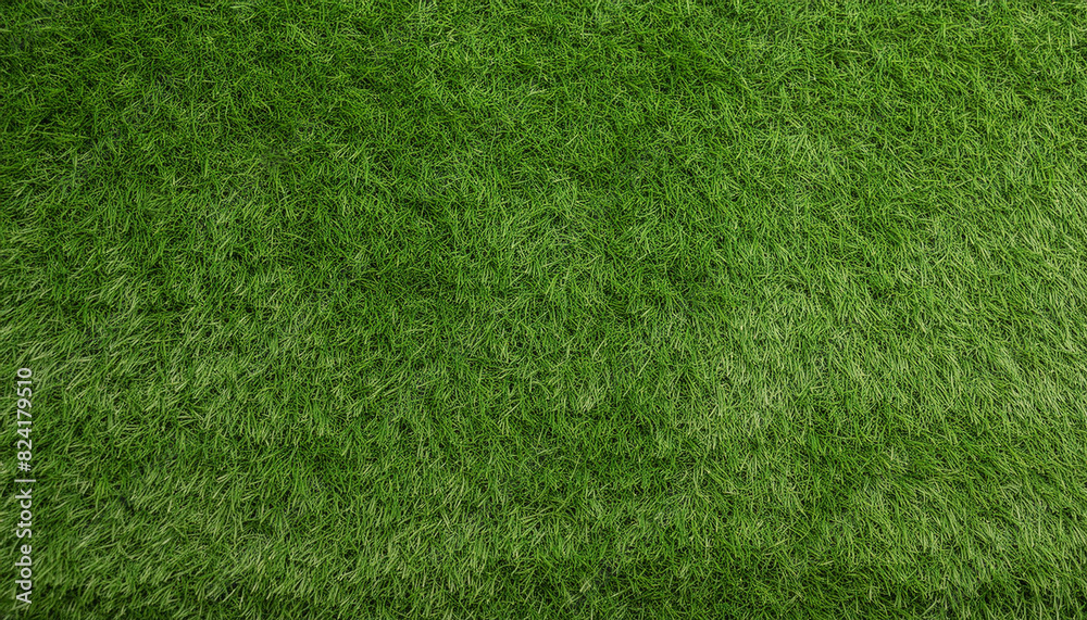 Seamless green grass texture Stock Photo | Adobe Stock
