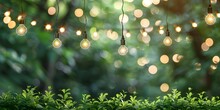 String Of Leaves Bright Green Free Stock Photo - Public Domain Pictures