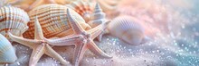 Starfish, Shells Pattern Background Free Stock Photo - Public Domain ...
