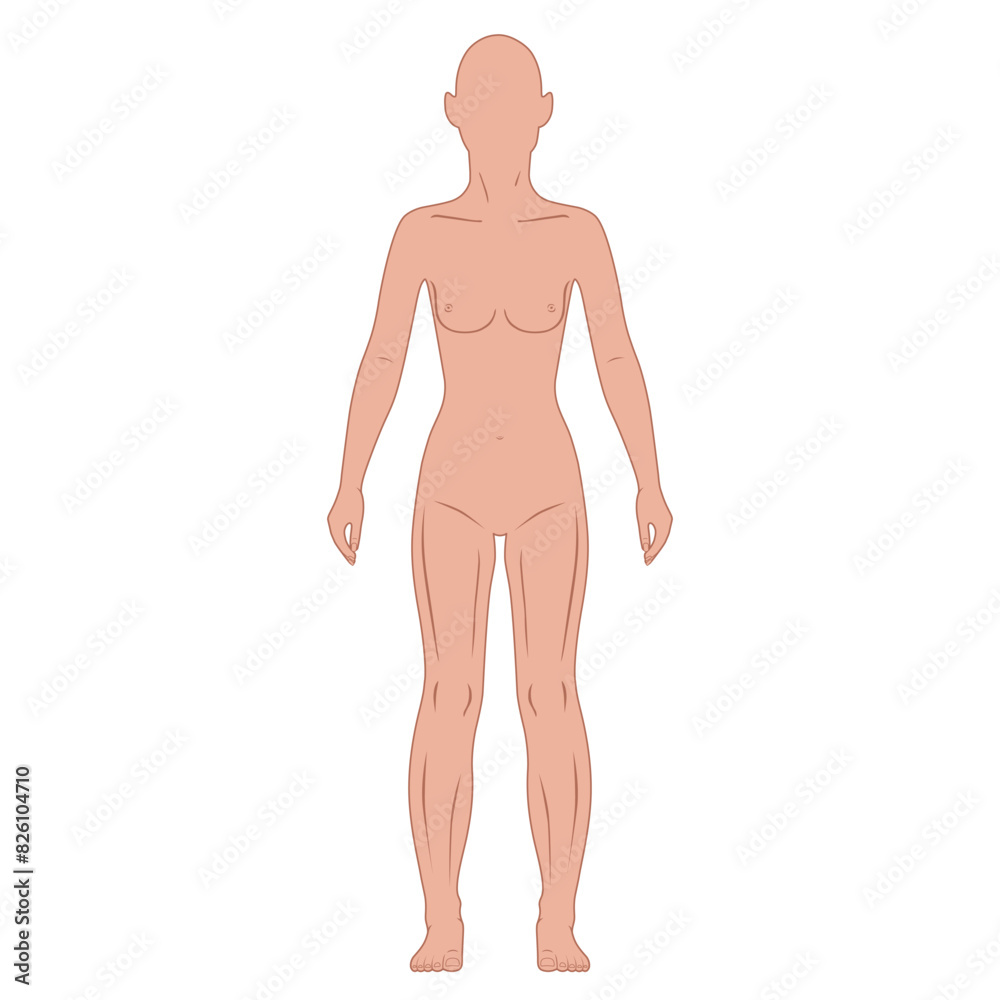 Full Length Front View Of A Lean Bald Standing Naked Girl Silhouette