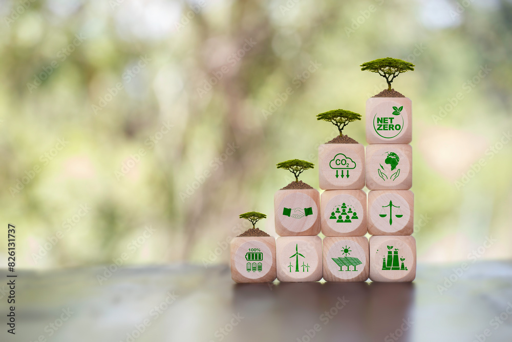 Net zero icon at wood box on green leaf blur in golden light morning ...