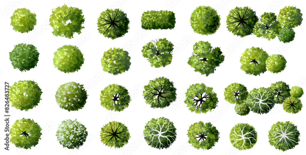 Vertor set of green tree,plants top view for landscape plan,schematic ...