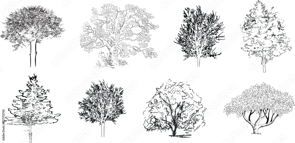 Minimal style cad tree line drawing, Side view, set of graphics trees ...