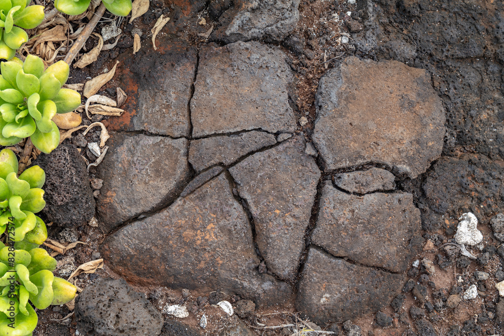 Weathering joints of basalt. Kalama flow / Koko Rift basalts, Honolulu ...