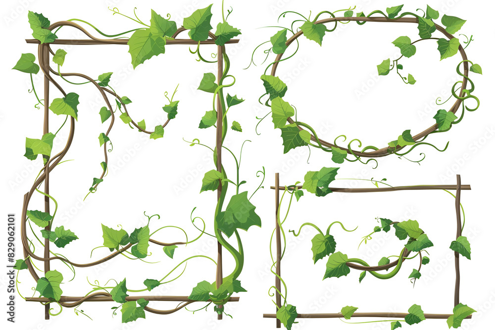 Tropical Jungle Liana Vines: Circular and Square Frames with Creeping ...