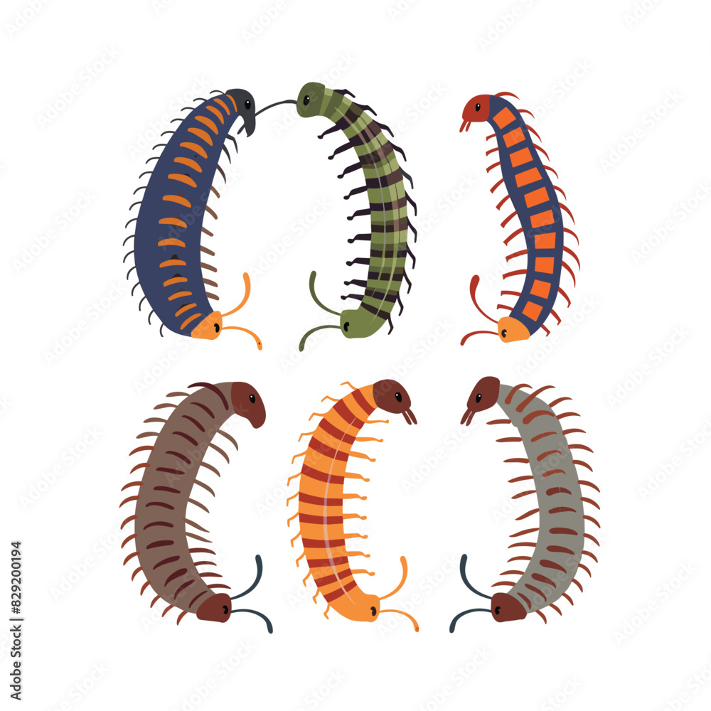 Colorful centipedes cartoon characters illustrated, centipede has ...