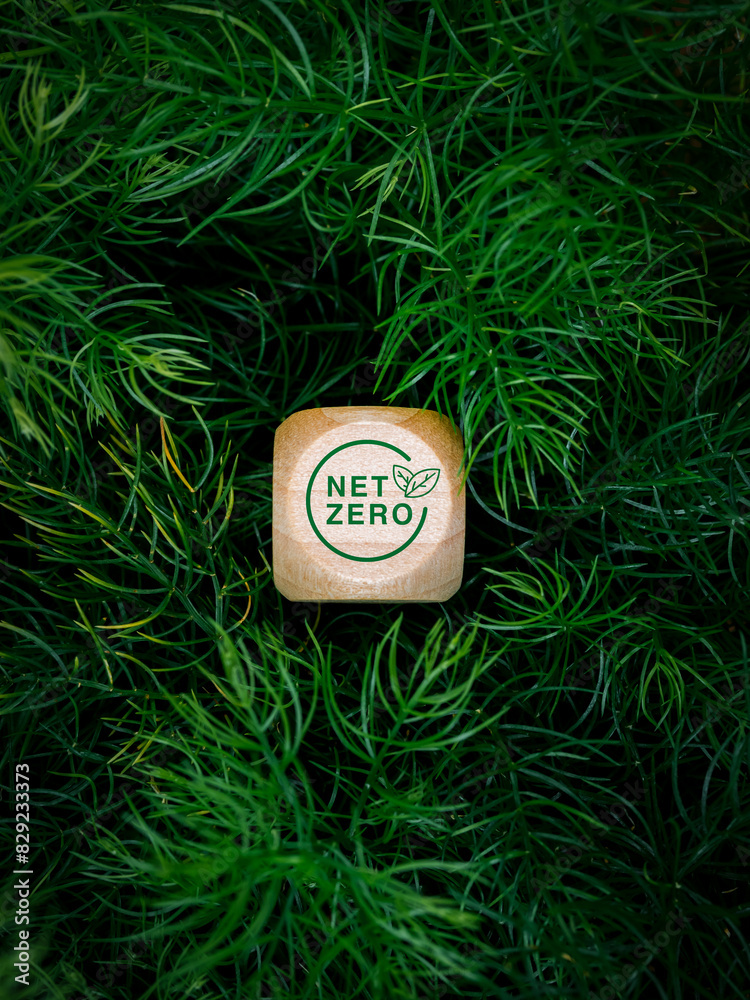 Reduce CO2 emissions, limit climate change, global warming, net zero ...