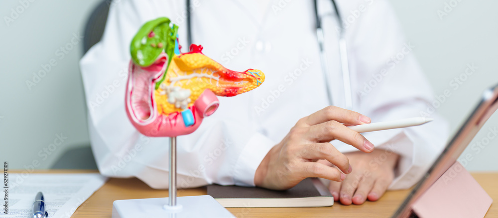 Doctor with human Pancreatitis anatomy model with Pancreas, Gallbladder ...