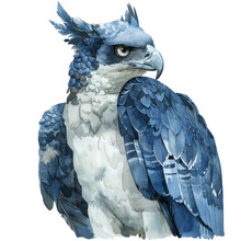 Blue Griffin Free Stock Photo - Public Domain Pictures