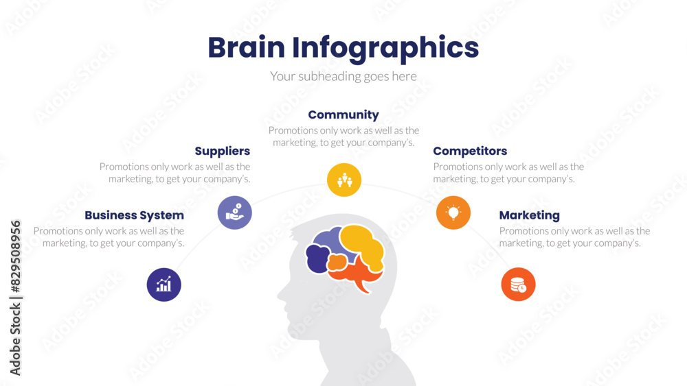 Creative Business and Marketing human brain infographic concept lobe ...