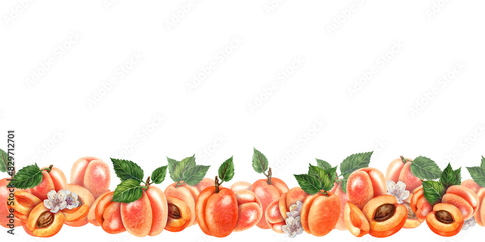 Horizontal border and banner of ripe orange pink apricots with green ...