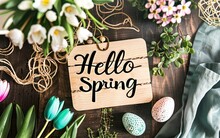 Hello Easter Bunny Free Stock Photo - Public Domain Pictures