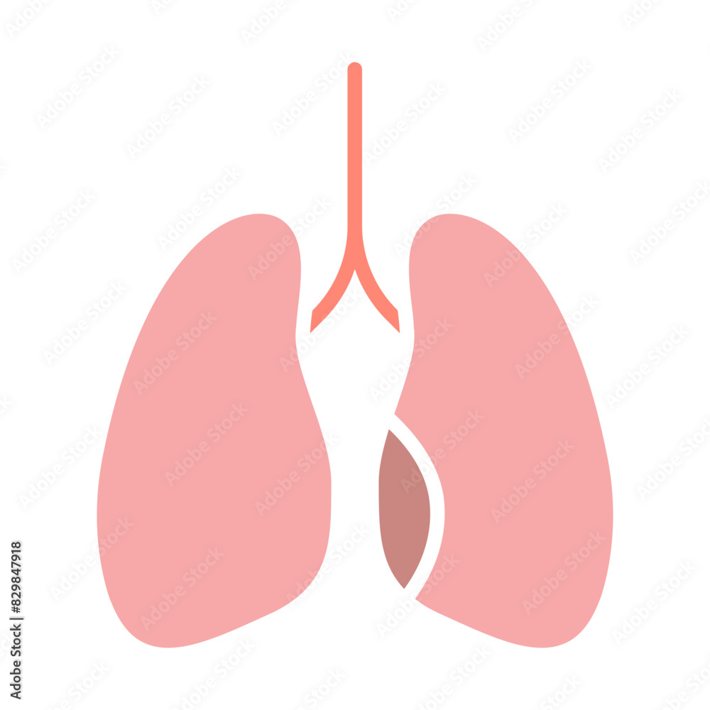 Lungs set icon. Respiratory system, lungs, bronchial tubes, alveoli ...