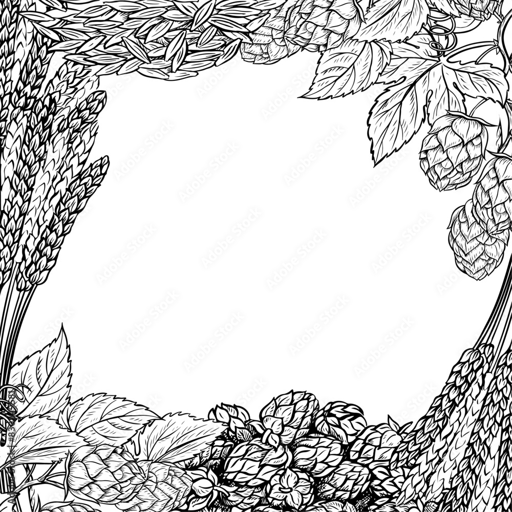 Border frame with barley, grain malt, hops. Ingredients for brewing. An ...