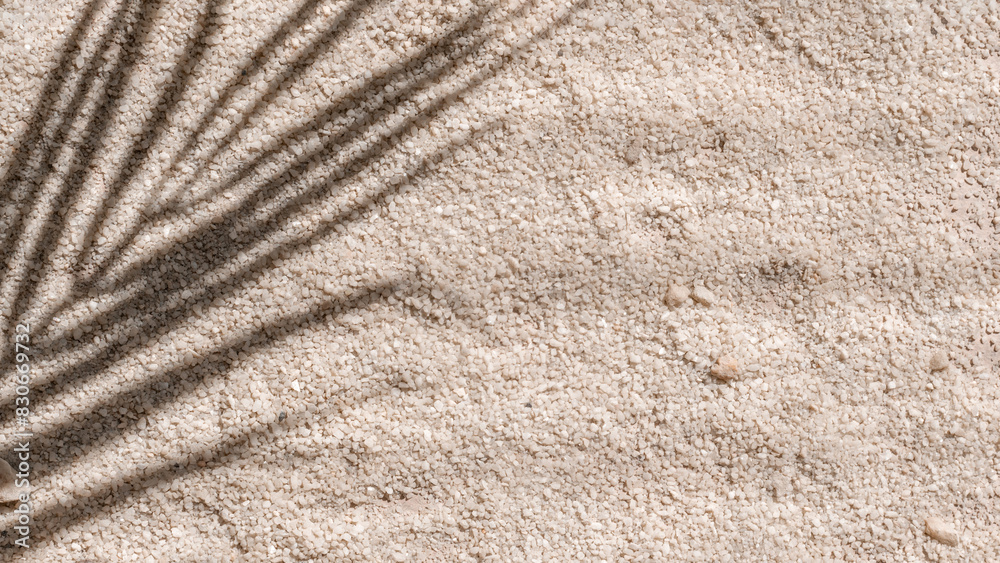 Natural neutral beige beach sand textured background with tropical palm ...