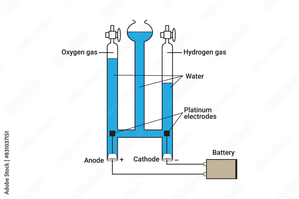 Electrolysis of Water. Labeled diagram to show the electrolysis of ...