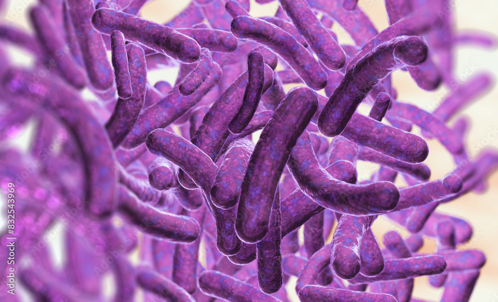 Microbacterias y organismos bacterianos. formación en biología y ...
