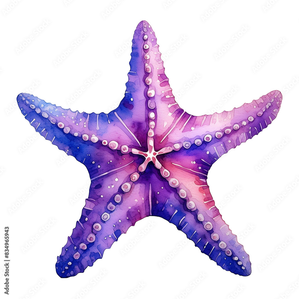 Starfish PNG, Starfish Clip Art, Colorful starfish isolated on a white ...