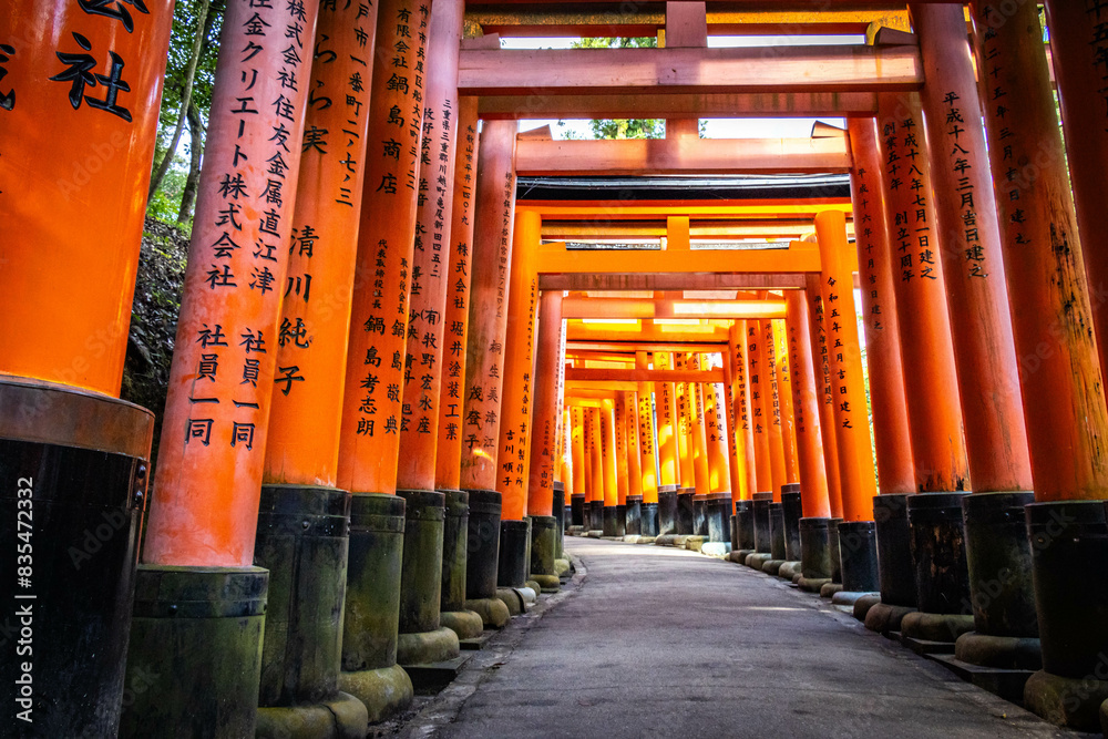 fushimi inari taisha, fushimi inari, kyoto, torii, gates, vermilion ...