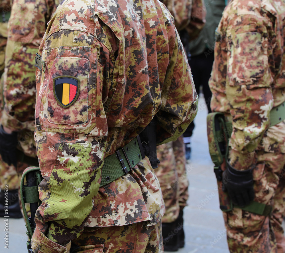Belgian army soldier in green and brown camouflage uniform with the ...