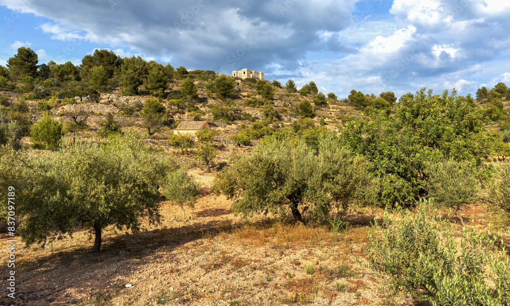 Castle on the mountain. Muslim fortress on a hill and a Spanish village ...