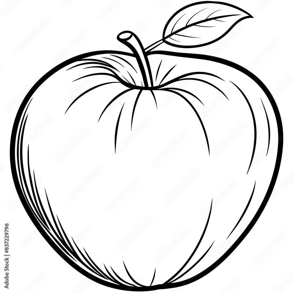 Apple outline coloring book page line art drawing vector illustration ...