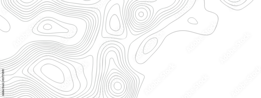 Abstract topographic White wave paper curved reliefs. Topographic map ...