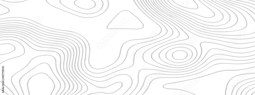 Abstract topographic White wave paper curved reliefs. Topographic map ...