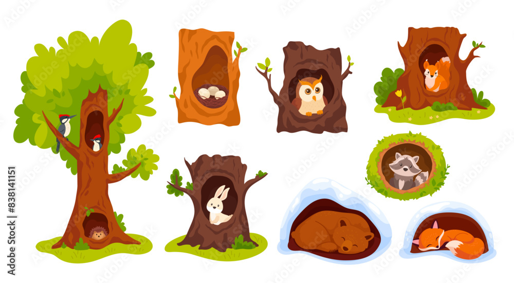 Animals inside hollows. Forest animal in hollow hole tree wood natural ...